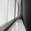 Custom Window Sill Covers (maximum Size 35 1/2" X 5 1/4") - Etsy