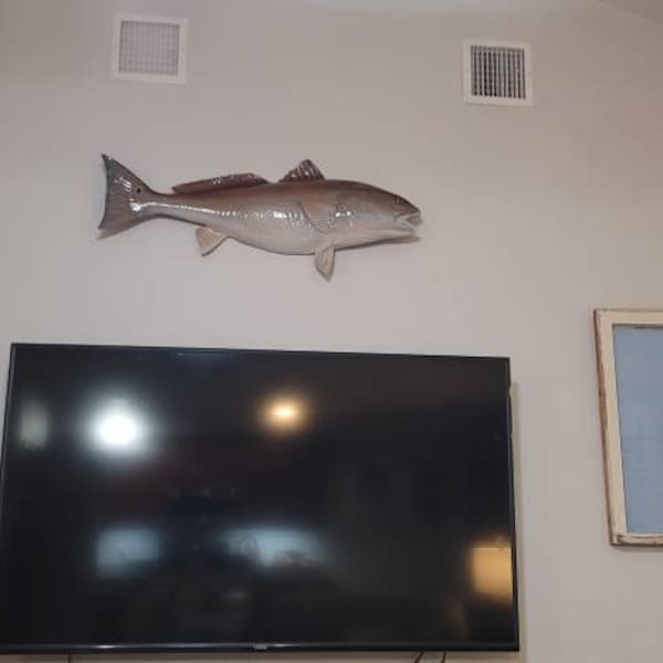 In Stock - Redfish Fish Mount - 40 Inches - Half Mount - Etsy