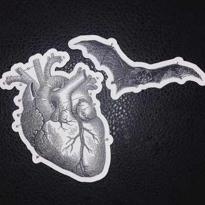 Bat Sticker / Bumper Sticker / Vinyl Sticker / Vintage Image / Phone ...