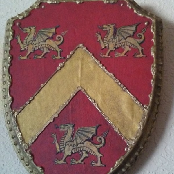 Custom Medium Wall Shield - Etsy