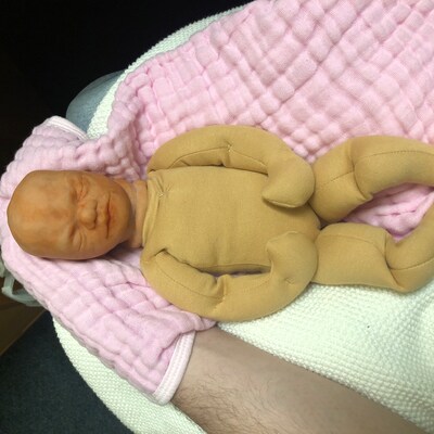 Reborn Doll Pose N' Cuddle Body Reggiesdolls Pre Stuffed All Sizes Free ...