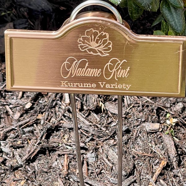 Custom Laser Engraved Copper Plant Rose Markers Stakes Garden ...
