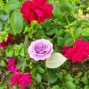 Paper Flower Sepal Template Stemming Base Leaf for Small or Rolled ...