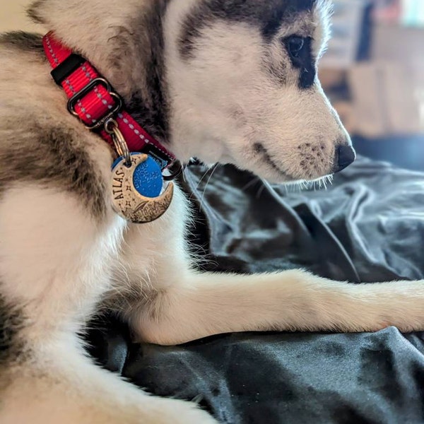 Moon Dog Tag, Moon Dog Tag With Stars, Dog Collar Tag, Hand Stamped ...