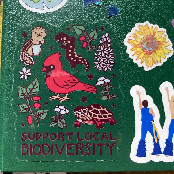 Pollinators Zine | Bugs Mini Zine, Nature Zine, Science Educational ...