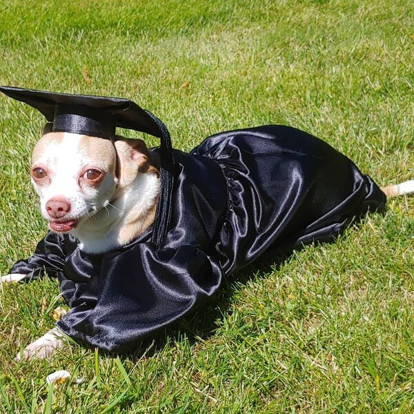 Professor Paws, FD-2108.PupPak-4 Szs: 4XS, 3XS, 2XS, XS, PDF Pet Grad ...