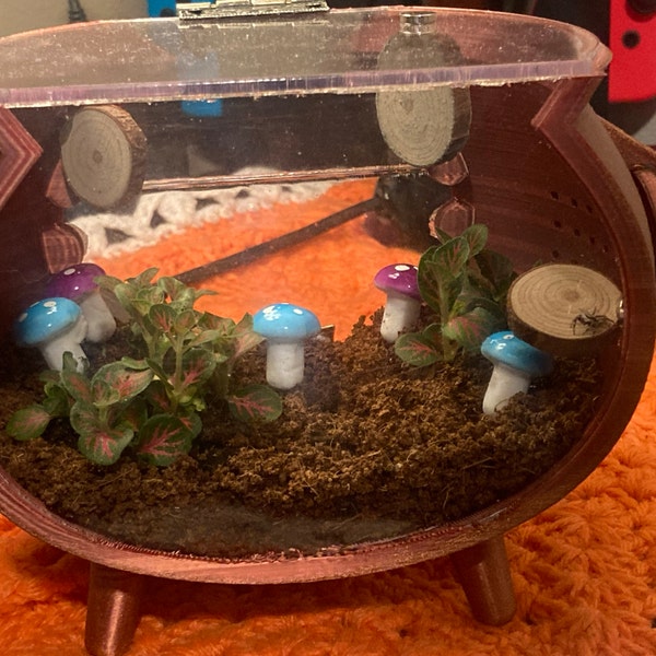 Jumping Spider Enclosure. Small Cauldron Acrylic Glass Enclosure for ...