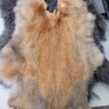 Lot of 4 Assorted Rabbit Hides as Shown Natural Rabbit Fur - Etsy