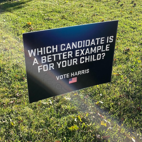 Democrat Never Forget January 6 Yard Sign - Etsy