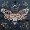 Death Head Moth Cross Stitch Pattern PDF Black Witch Craft Crescent ...