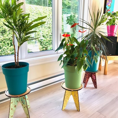 Mid Century Modern Tree Wall Decal, Vintage Style Decor, Bonsai Tree ...