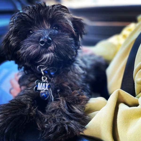 2 Sided TBL - Thin Blue Line Police Dog Tag - Back the Blue - Custom ...