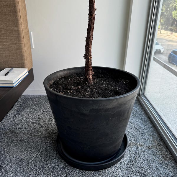 7 Planter Pot With Drainage Hole & Plug Indoor Planter Pot Eco-friendly ...