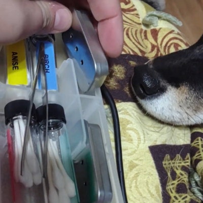 AKC Scent Work Training Kit - Etsy