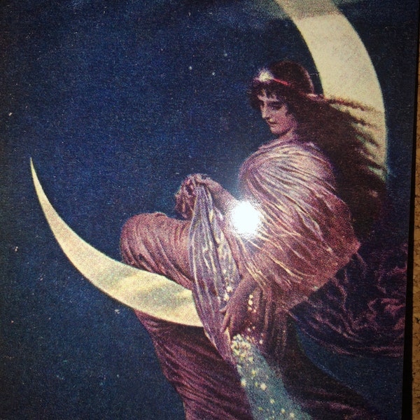 Victorian Lady in Bloomers Vintage Image Poster Print - Etsy