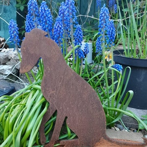 Rusty Metal Greyhound/whippet/lurcher Gift, Greyhound/whippet Outdoor ...