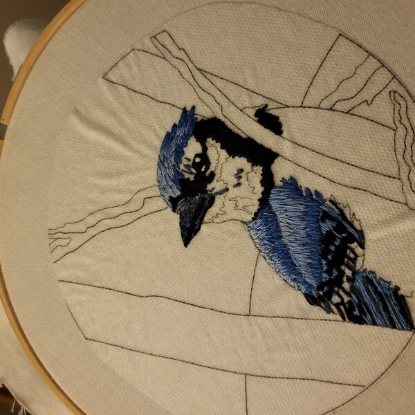 Loon Embroidery Kit, Complete Kit, Detailed Instructions, DMC Floss ...