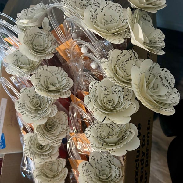 How the Grinch Stole Christmas Book Roses, Dr Seuss Paper Book Roses - Etsy