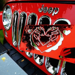 Custom Mirror License Plate, Car Tag, Personalized Car Tag, Custom ...