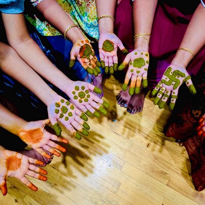 CALOTROPIS GIGANTEA Giant / Madar/ Milkweed Tree Plant Butterfly Garden ...