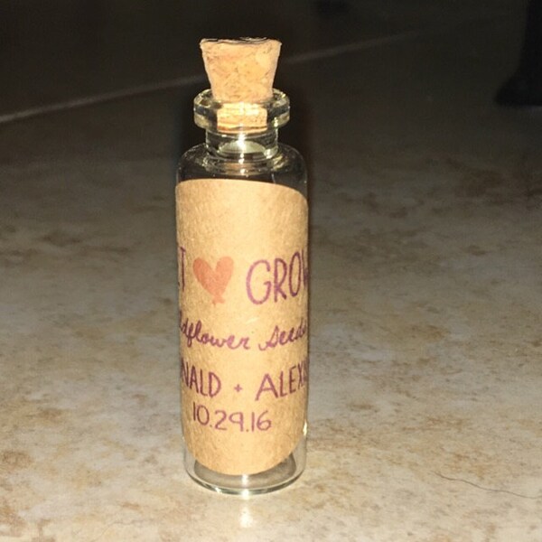 100 5ml Bottles. Bitty Bottle. Small Glass Bottle Lot. Vial Bottles 100 Lot. Miniature Corks ...