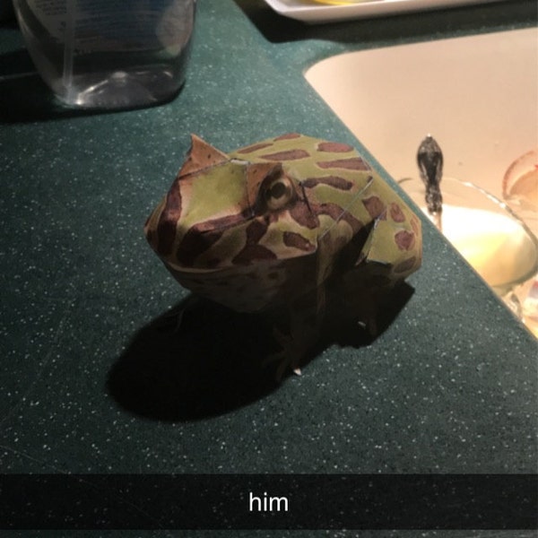 RAGDOLL 3D Papercraft / Ragdoll Cat Paper Craft / Kitten 3d Papercraft ...