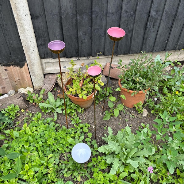 Large Metal Poppy Seed Heads. Rusted Sculptures for the Garden. Garden ...