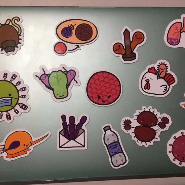 Cute Stds Sticker Set - Etsy