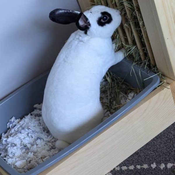 Rabbit Hay Feeder, Dowel Hay Rack, Bunny Hay Feeder With Litter Box ...
