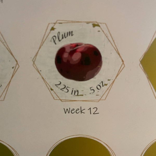 Scratch off Pregnancy Countdown Chart: Baby Growth Tracker, Expectant ...