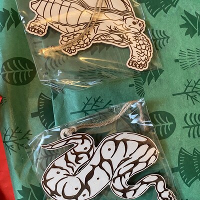 Centipede Scolopendra Centipedes Invertebrates Arthropod Chilopoda Drop ...