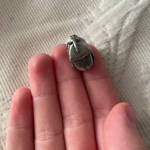 Seashell Lapel Pin CC344 Sea Ocean Beach Shells - Etsy