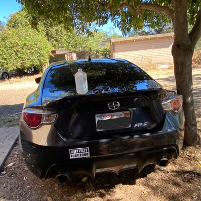 Shocker JDM Funny Sticker Decal - Etsy