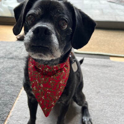 MEN'S UNDERBUST CORSET Pattern // Pdf Sewing Pattern for Men // Eu Size ...