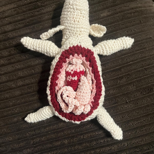Digital Download Rabbit Dissection Crochet Pattern - Etsy