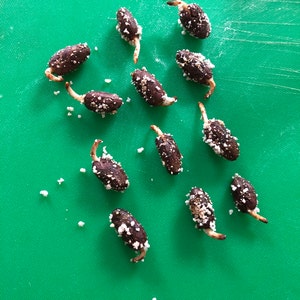 5 Bele Abelmoschus Manihot Edible Hibiscus Tonga Spinach Cuttings FROM ...