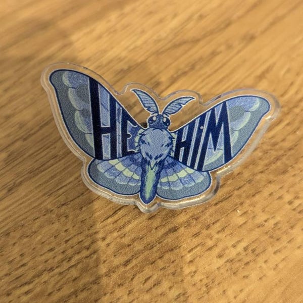 Pronoun Moth Acrylic Pin - Etsy
