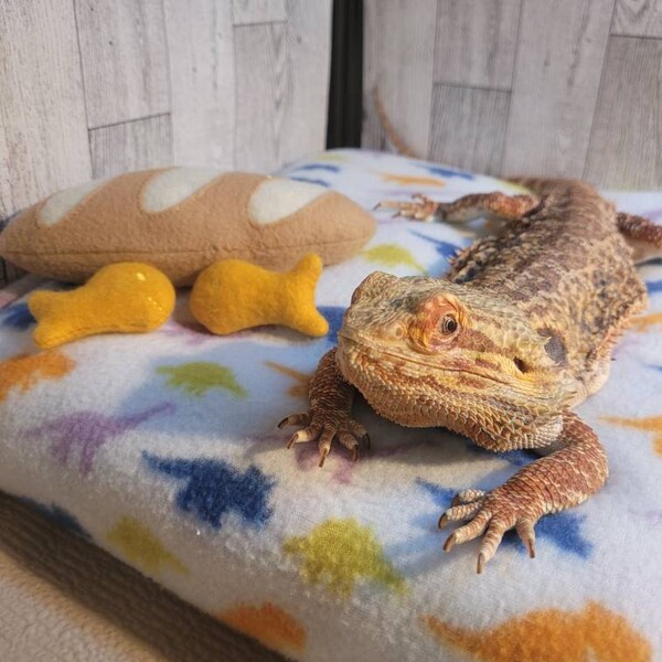 Ball Python Pastel Watercolor Snake A Plushie Stuffed Animal Friend ...