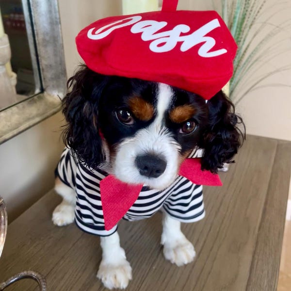 Korean Gat Hat, Korean Traditional Headpiece, Beads Chains, Cute Hanbok ...