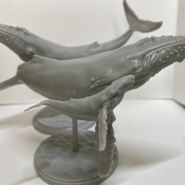 Humpback Whale 1:100 Scale Model by Animal Den | Unpainted | Print on ...