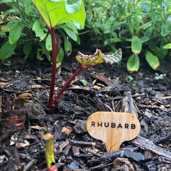 Australian Slang Postcard, Woop Woop - Etsy