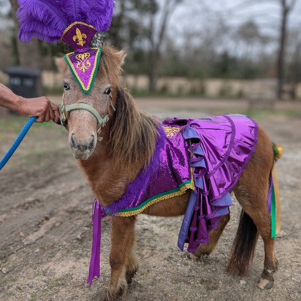 Prancing Pope - Religious Costume With Pontiff Hat and Vestment for ...