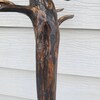 Unfinished Cane - Etsy