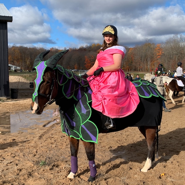 Dragon Knight Horse Chanfron Pattern - Etsy