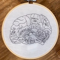 DIY Brain Embroidery Pattern, Brain Anatomy Embroidery Pattern ...