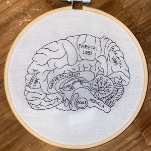 DIY Brain Embroidery Pattern, Brain Anatomy Embroidery Pattern ...