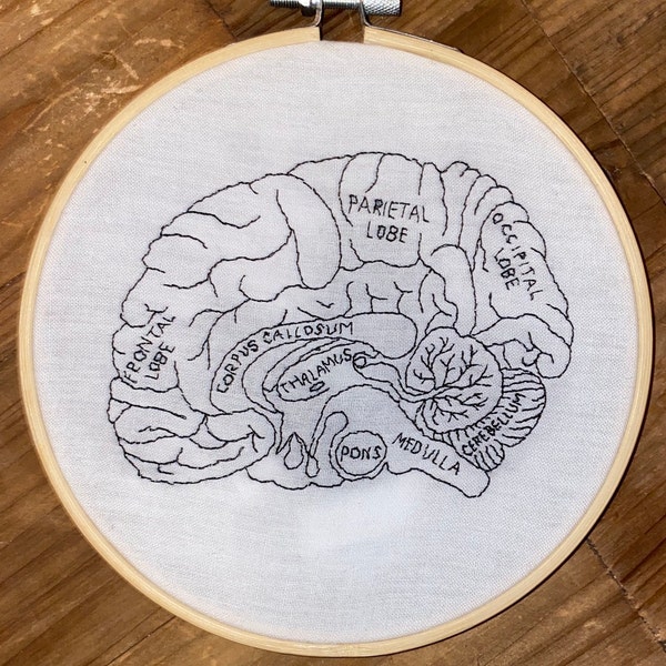 DIY Brain Embroidery Pattern, Brain Anatomy Embroidery Pattern ...