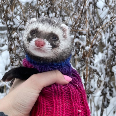 Various Colours Ferret Sweater Jumper. Hand Knitted Handmade Wool ...