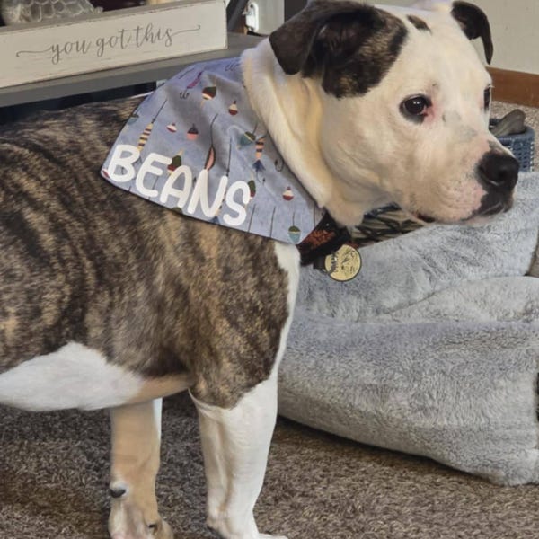 Police Support Bandana, Blue Line, Over the Collar, Slide On, Cat ...