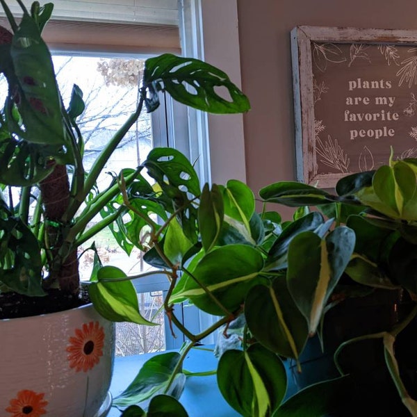 Plants Are My Favorite People | Wood Farmhouse Sign | Plant Lovers ...